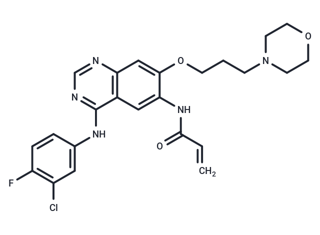 Canertinib | EGFR | TargetMol