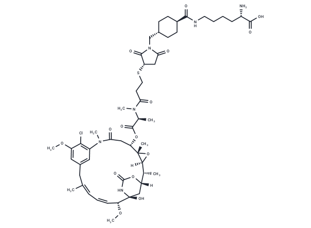 Lys-SMCC-DM1 | Microtubule Associated | Drug-Linker Conjugates for ADC ...