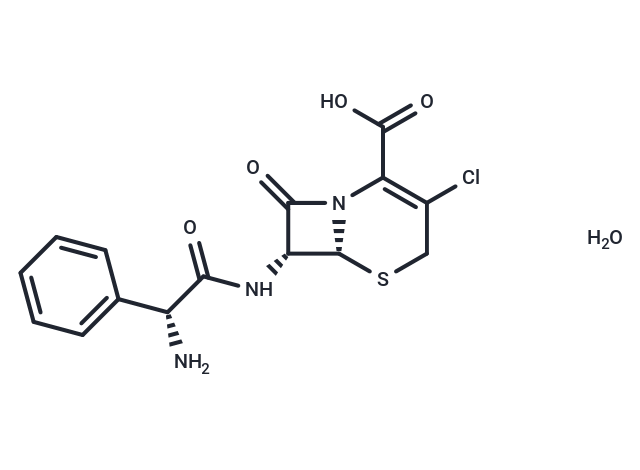 Cefaclor monohydrate | Antibiotic | Antibacterial | TargetMol