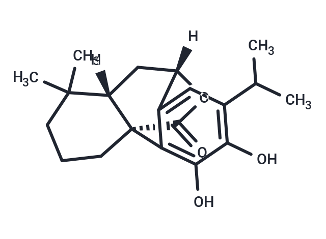 Carnosol | Nrf2 | Endogenous Metabolite | S6 Kinase | TargetMol