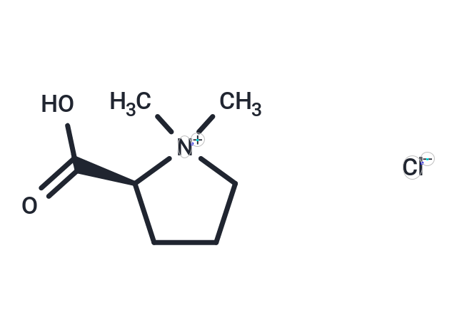 Stachydrine Hydrochloride | NF-κB | TargetMol