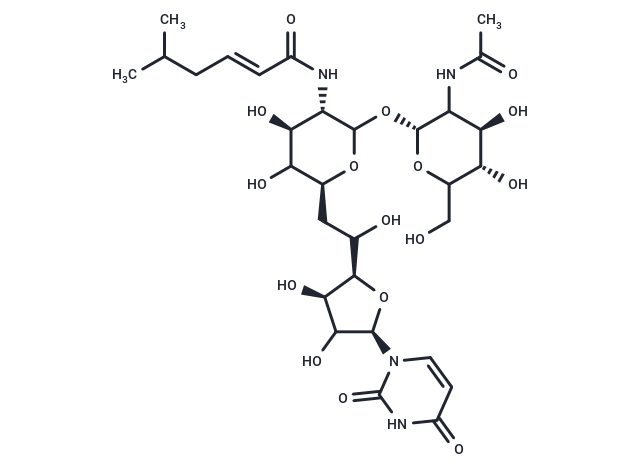 Tunicamycin | 衣霉素 | 抗生素 | TargetMol