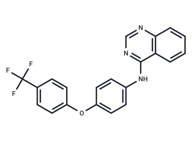 Mitochondrial Metabolism | 代谢 | TargetMol