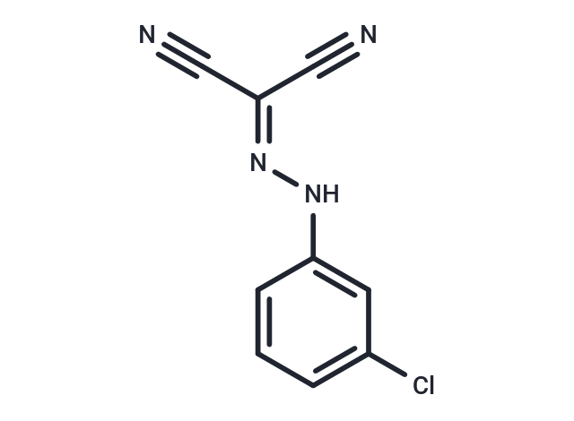 CCCP | IκB/IKK | Apoptosis | Mitochondrial Metabolism | STING | COX ...