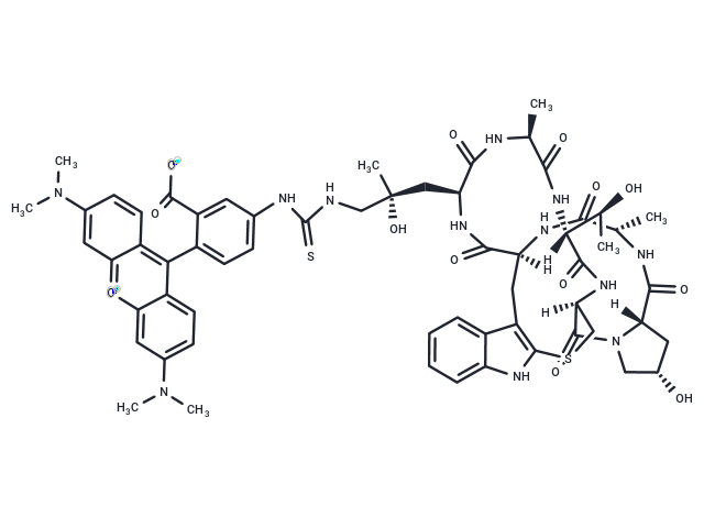 Phalloidin-TRITC | TargetMol