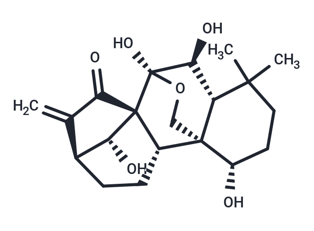 Oridonin | Antibacterial | Akt | TargetMol