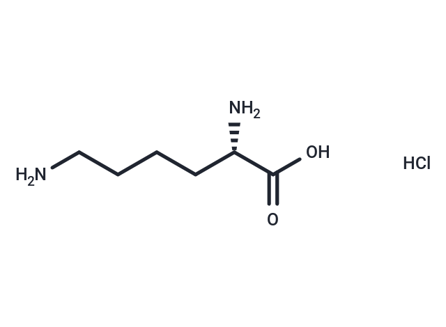 Poly-L-lysine hydrochloride | Antibacterial | TargetMol