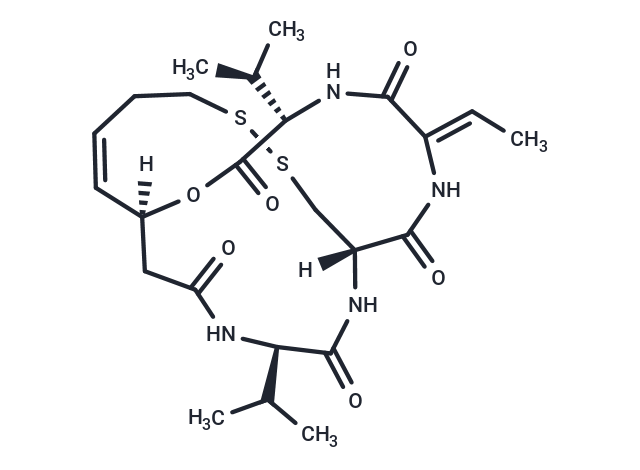 Romidepsin | FR 901228 | 罗米地辛 | HDAC 抑制剂 | TargetMol