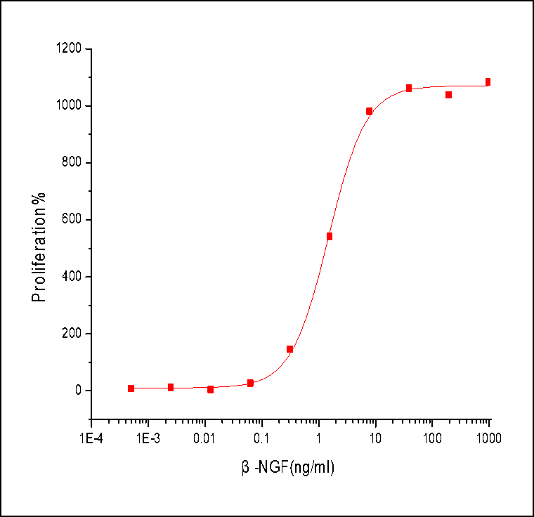 NGF Protein, Human, Recombinant | TargetMol