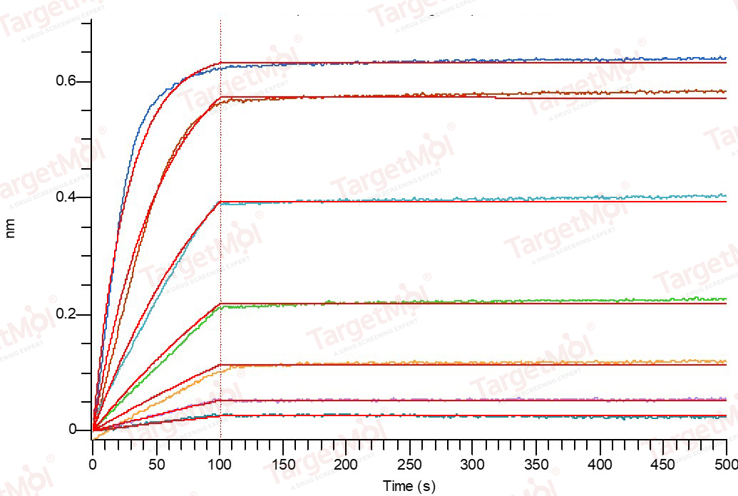 RANKL/TNFSF11/CD254 Protein, Mouse, Recombinant (His) | TargetMol