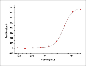 HGF Protein, Human, Recombinant | TargetMol