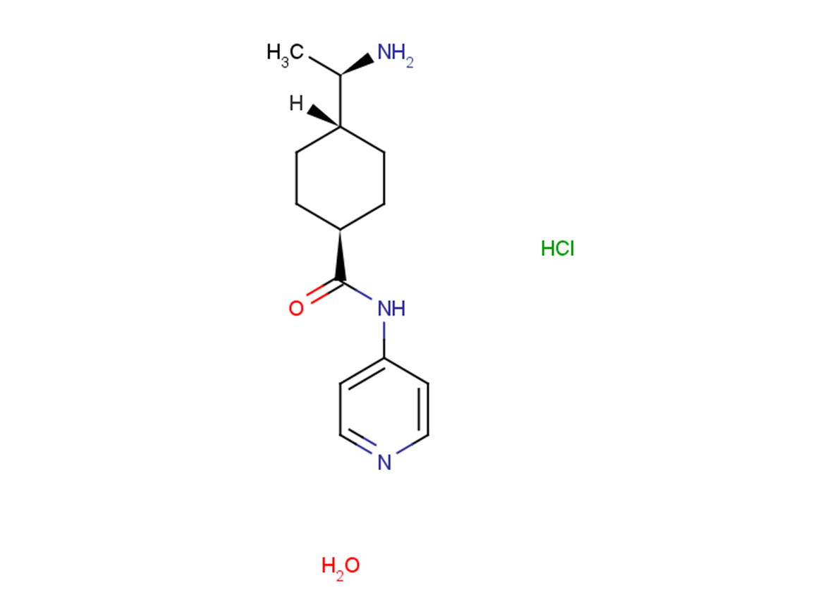 Y27632 HCl hydrate | Inhibitor | TargetMol