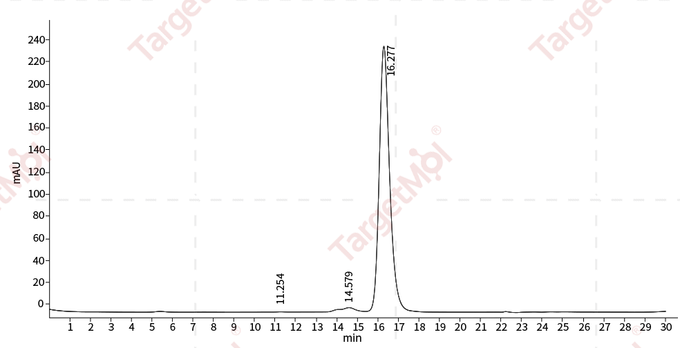 IL-12 Protein, Human, Recombinant | TargetMol
