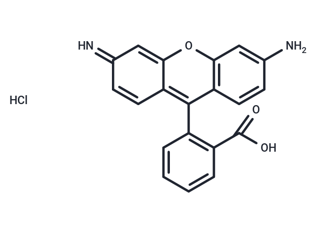 Rhodamine 110 Inhibitor Targetmol