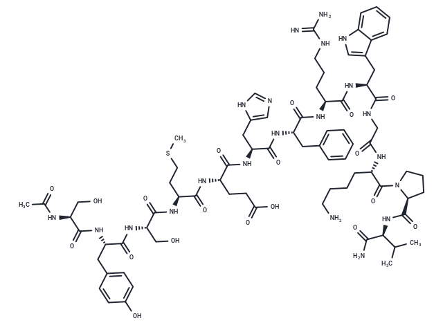 α-MSH | Melanocortin Receptor | Adenylyl cyclase | TargetMol