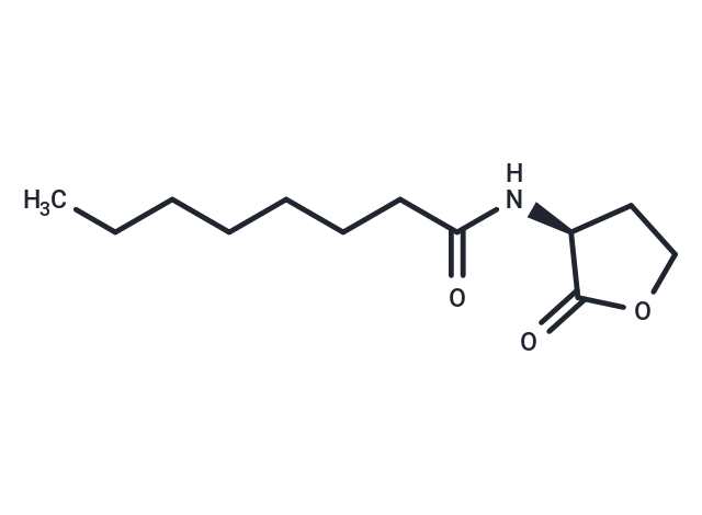 N-octanoyl-L-Homoserine lactone | Antibacterial | TargetMol