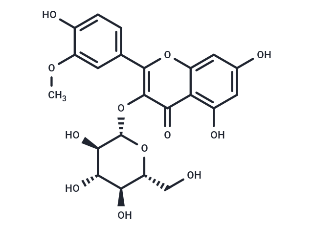 Isorhamnetin-3-O-glucoside | Inhibitor | TargetMol