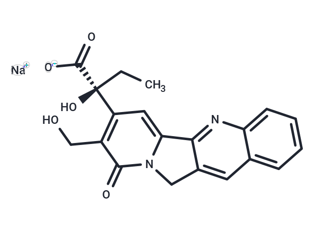 Sodium Camptothecin | DNA/RNA Synthesis | TargetMol
