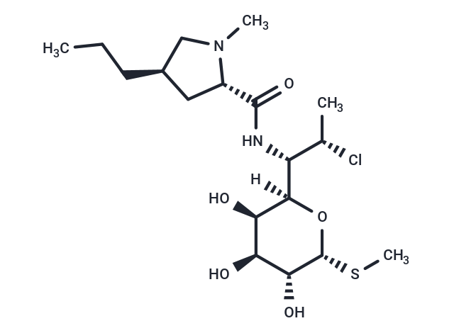 Clindamycin | Antibacterial | Antibiotic | TargetMol