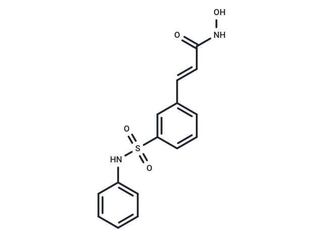 Belinostat | Autophagy | HDAC | TargetMol