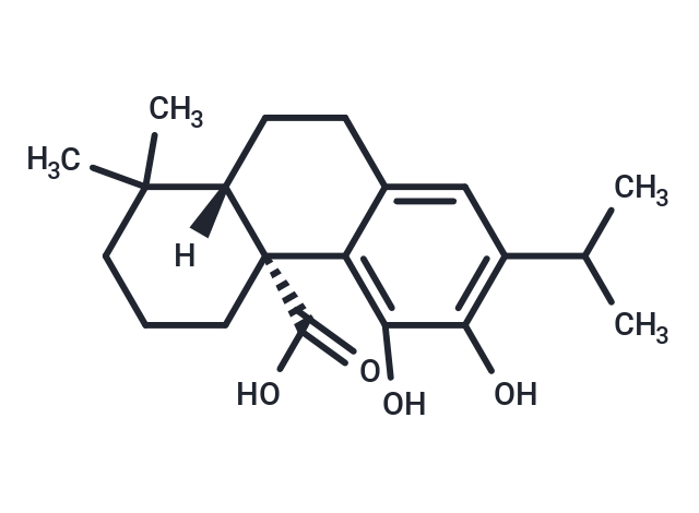 Carnosic acid | Antibacterial | ROS | Apoptosis | TargetMol