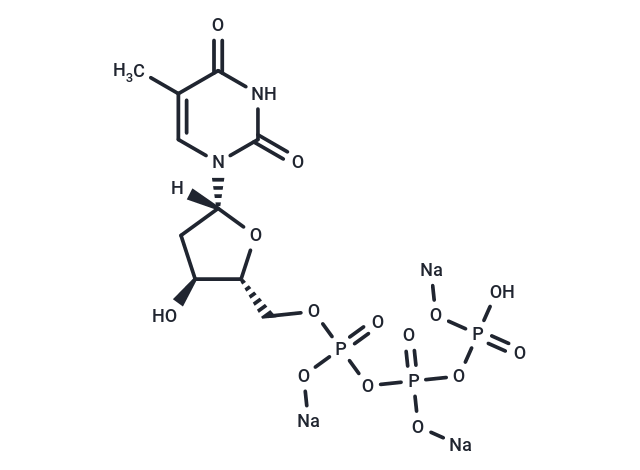 Deoxythymidine-5'-triphosphate trisodium | TargetMol