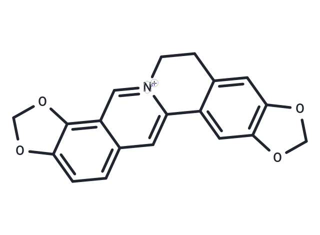 Coptisine | Indoleamine 2,3-Dioxygenase (IDO) | TargetMol