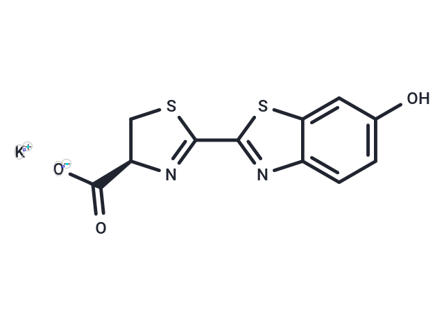 D-Luciferin potassium| D-荧光素钾盐 | 荧光素酶底物 | TargetMol