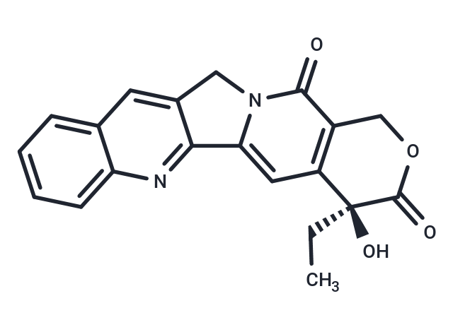 Camptothecin | CPT | 喜树碱 | DNA 拓扑异构酶 I 抑制剂 | TargetMol