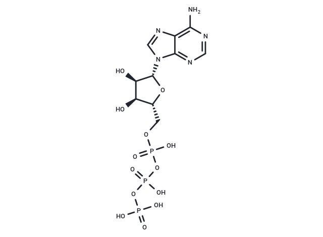 ATP | Adenosine triphosphate | 腺苷三磷酸 | 信号分子 | TargetMol