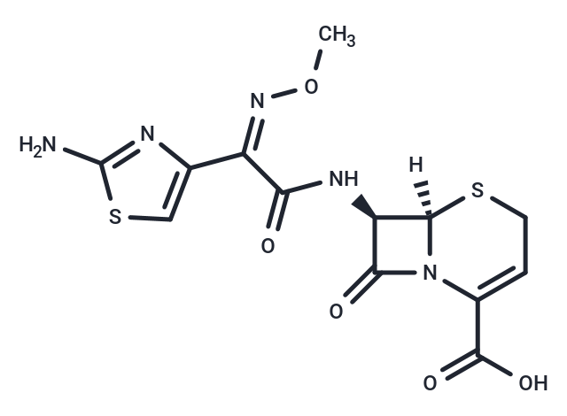 Ceftizoxime | Antibiotic | Antibacterial | TargetMol