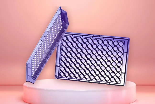 Greiner 96-Well-V bottom Plate_TargetMol