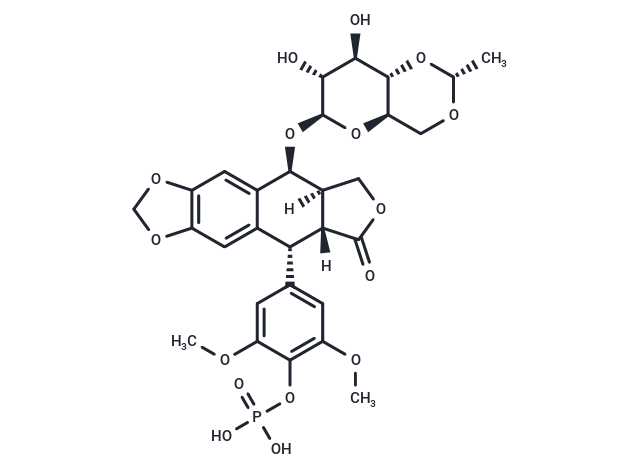 Etoposide Phosphate | TargetMol
