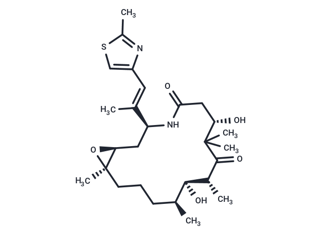 Ixabepilone | Microtubule Associated | Apoptosis | TargetMol