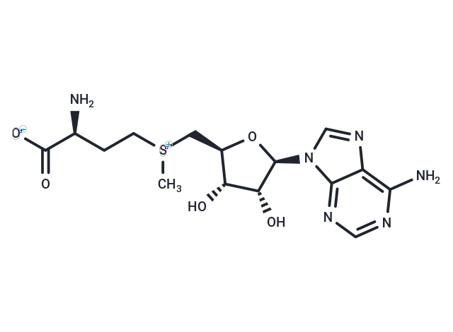S-Adenosyl-L-methionine | Endogenous Metabolite | TargetMol