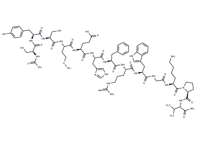 α-MSH | Melanocortin Receptor | Adenylyl cyclase | TargetMol