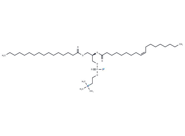 1-Palmitoyl-2-oleoyl-sn-glycero-3-PC | TargetMol