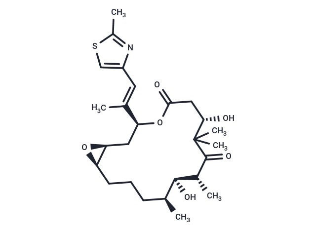 Epothilone A | Apoptosis | Microtubule Associated | TargetMol