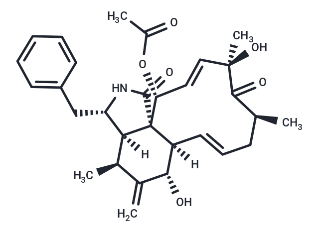 Cytochalasin D | Akt | ATPase | p38 MAPK | PI3K | TargetMol