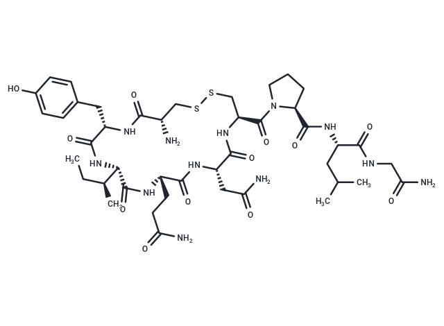 Oxytocin | Oxytocin Receptor | TargetMol