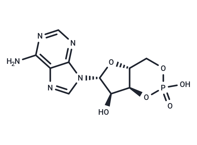 Cyclic AMP | Endogenous Metabolite | TargetMol