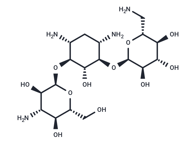 Kanamycin A | ribosome | Antibacterial | Antibiotic | TargetMol