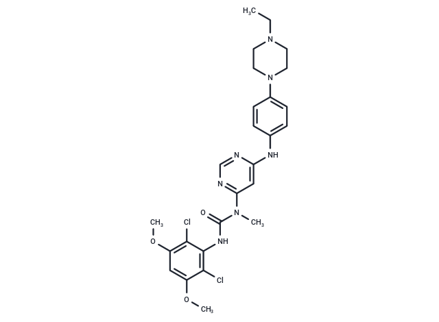 Infigratinib | FGFR | Apoptosis | TargetMol