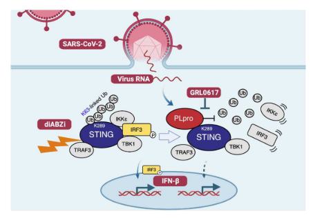 TargetMol明星分子—MG-132
